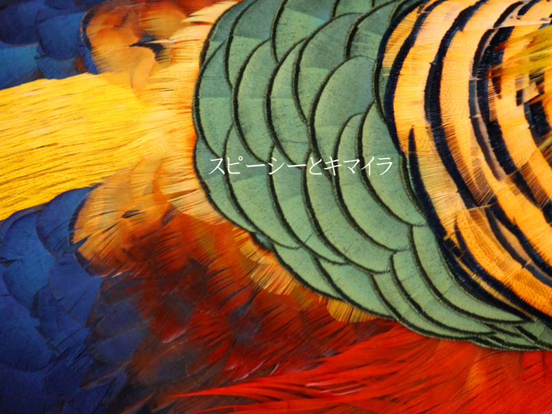 Senga Migiri 旋牙闇霧 Underground Campaign UGCP Species and Chimera スピーシーと ...